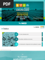 Censo Agrop 2024 Resultados Preliminares | PDF | Agricultura
