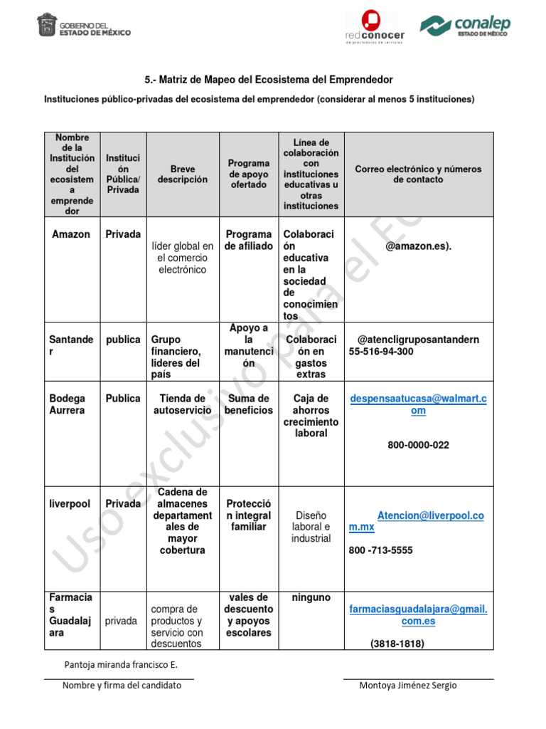 4 Matriz de Mapeo de L | PDF | Iniciativa empresarial | Economias
