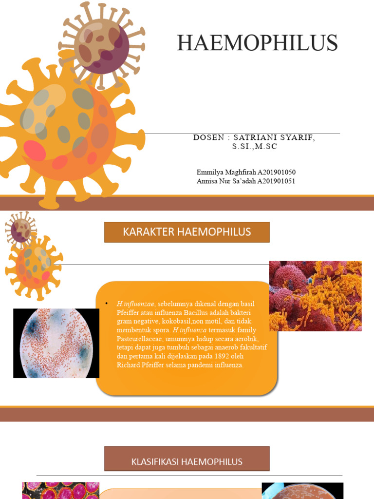 Salin-PPT HAEMOPHILUS | PDF