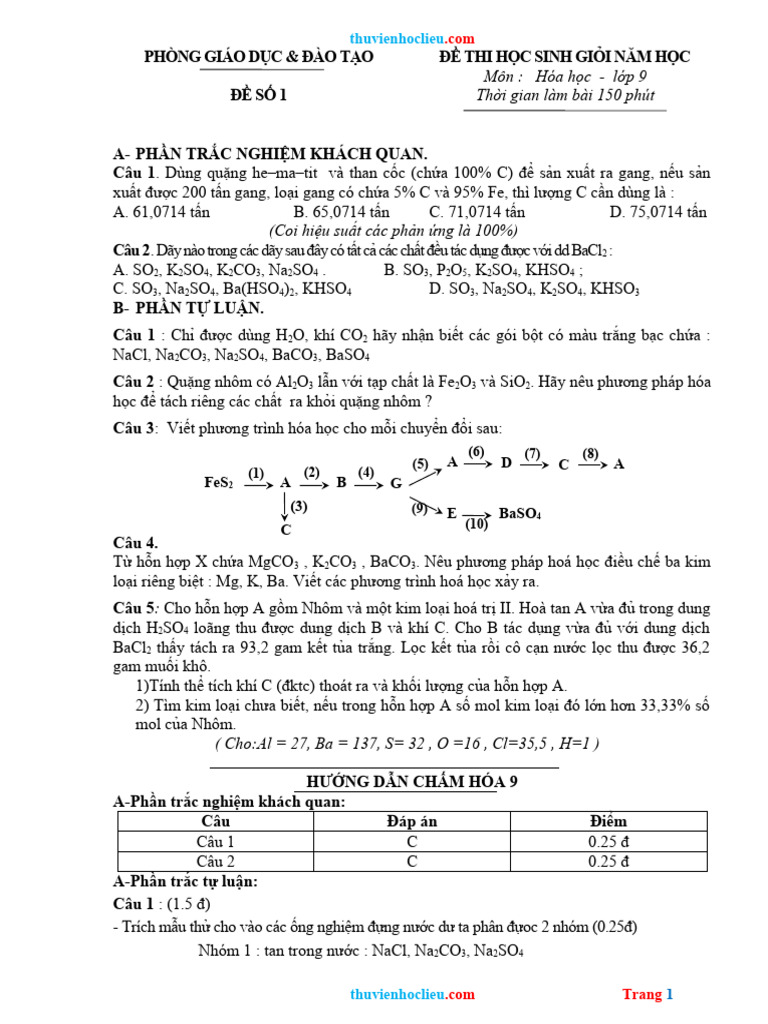 20 de Thi HSG Hoa 9 Co Dap An | PDF
