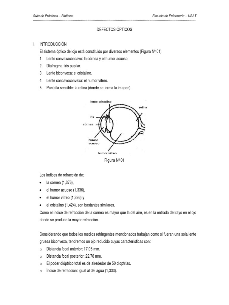 Defectos Opticos | PDF | Ojo humano | Sentidos