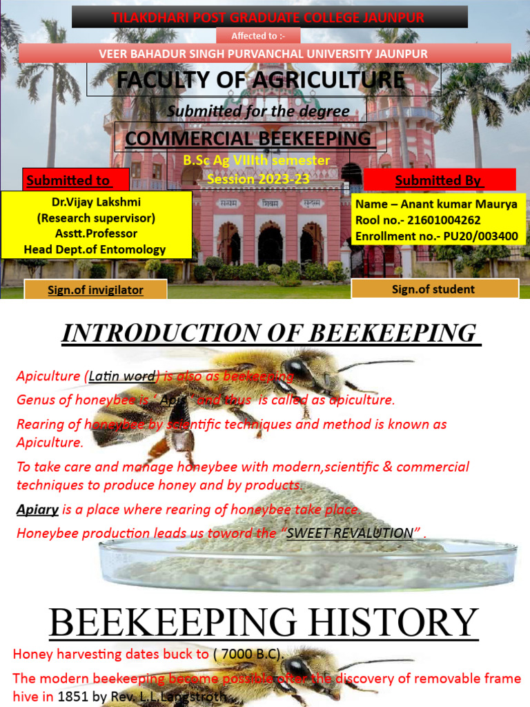 Presentation (2)-1 | Download Free PDF | Honey Bee | Bees
