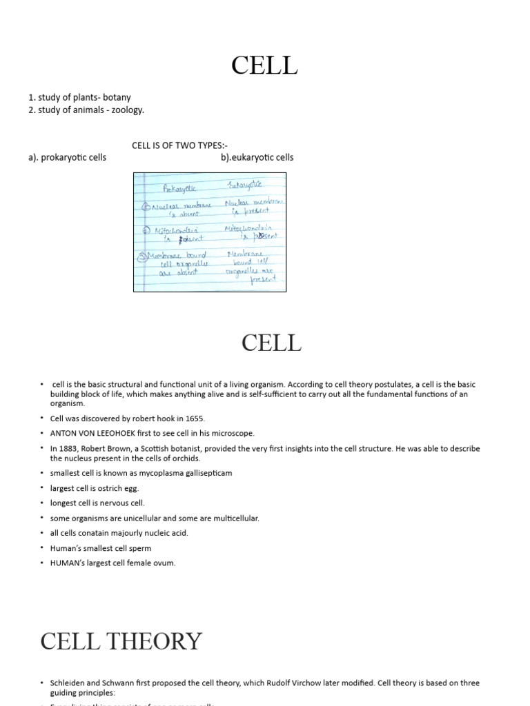 Cell Pdf Cell Biology Endoplasmic Reticulum
