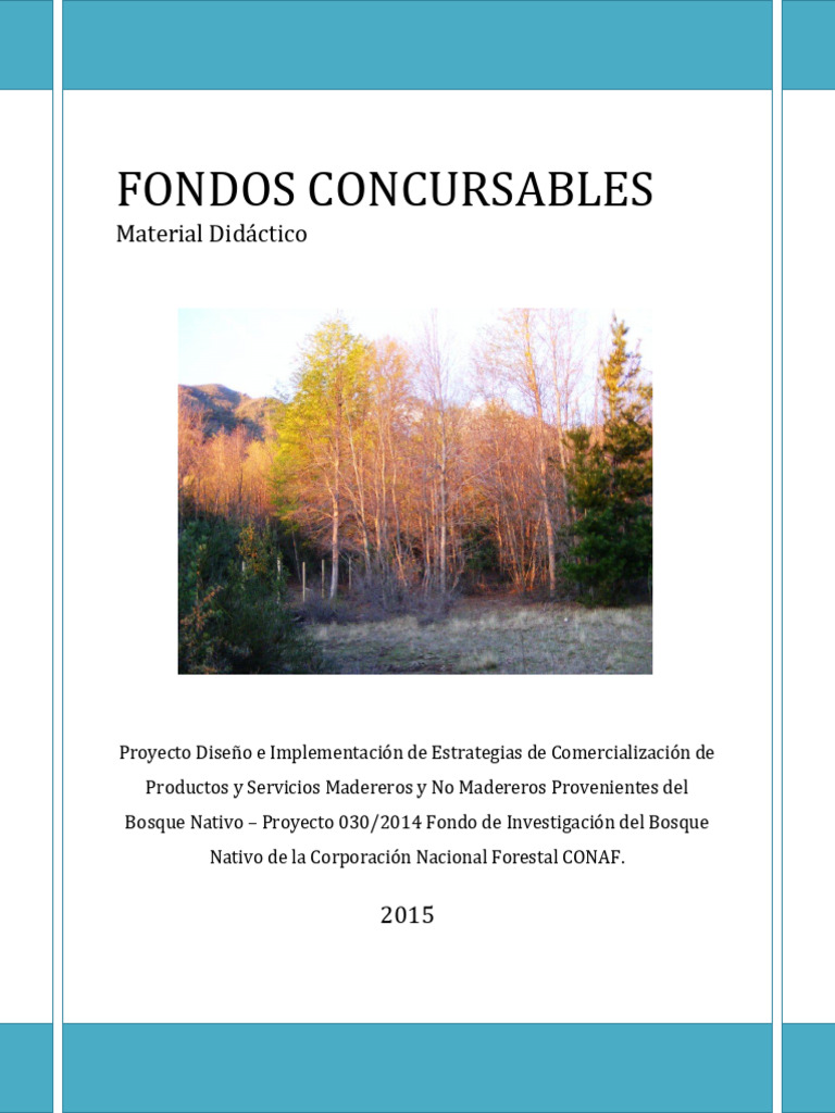 Documento Educativo Fondos Concursables | PDF | Iniciativa empresarial ...