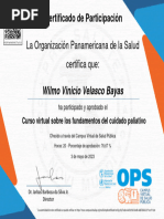 (OPS) Curso Virtual Sobre El Correcto Llenado Del Certificado de Defunción - ILSE DANIELA FLORES ...