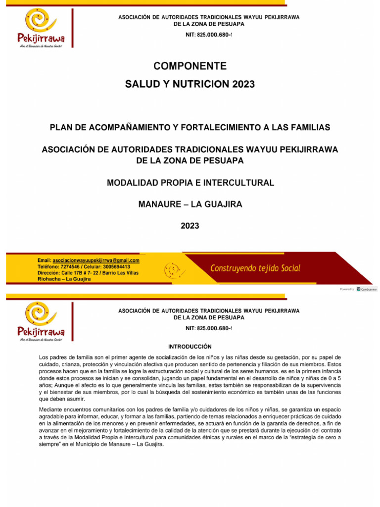 Plan de Formacion | PDF