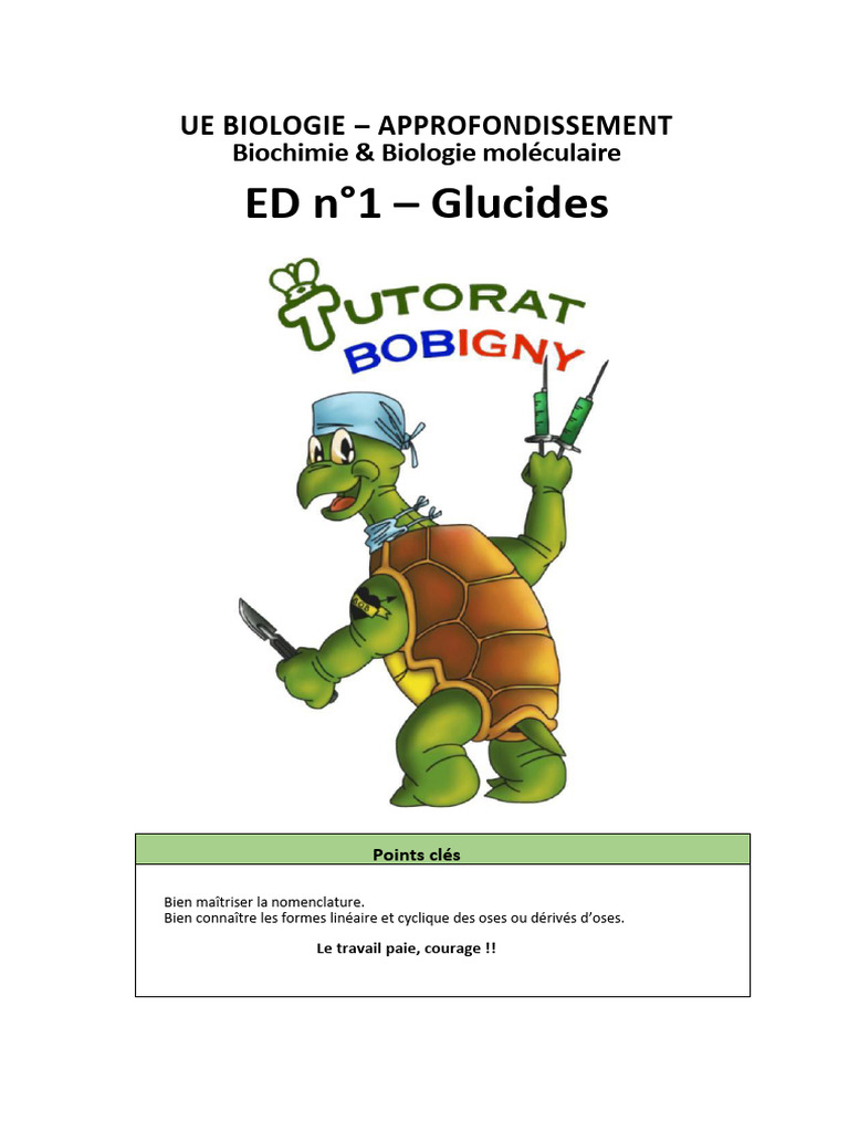 Glucides : Nomenclature et Isomérie | PDF | Glucide | Glucose