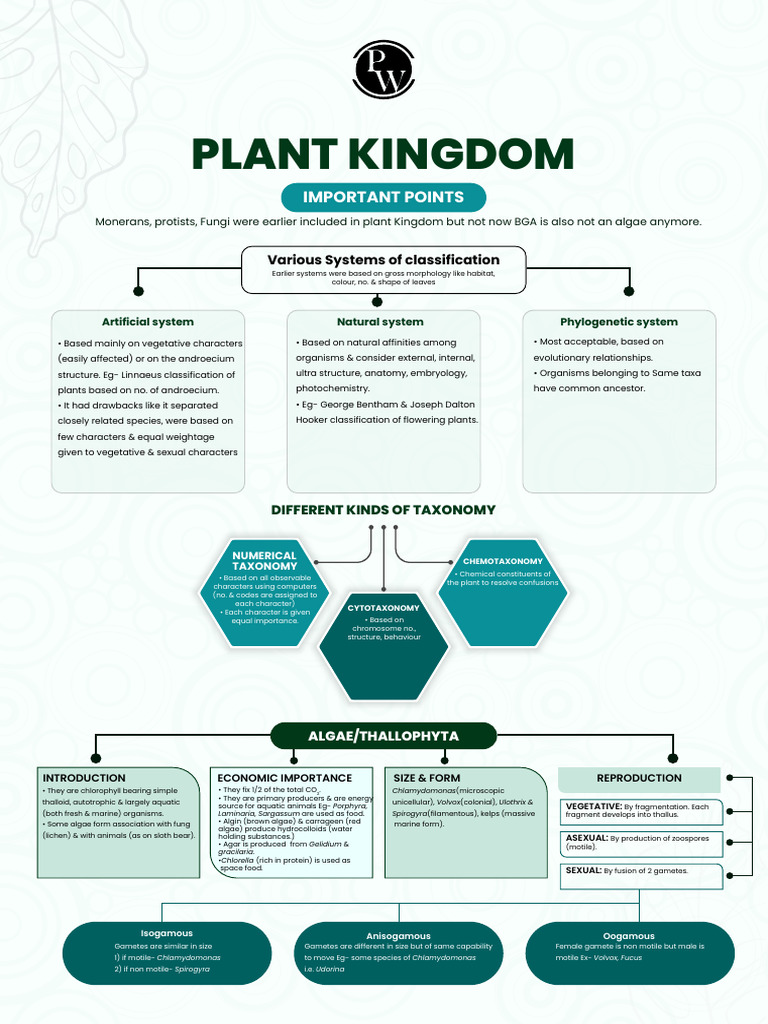 64d7417cca588200185ca139 - ## - Plant Kingdom Mind Maps | PDF | Sexual ...