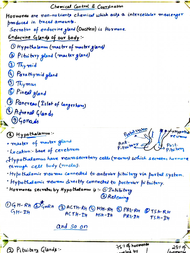 Chemical Control and Coordination | PDF | Endocrine System | Anatomy