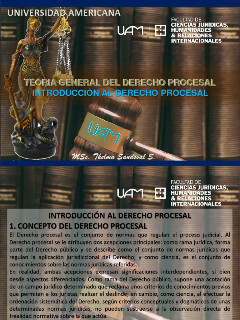 Teoria General Derecho Procesal (Doctrina) | PDF | Caso de ley | Ley procesal