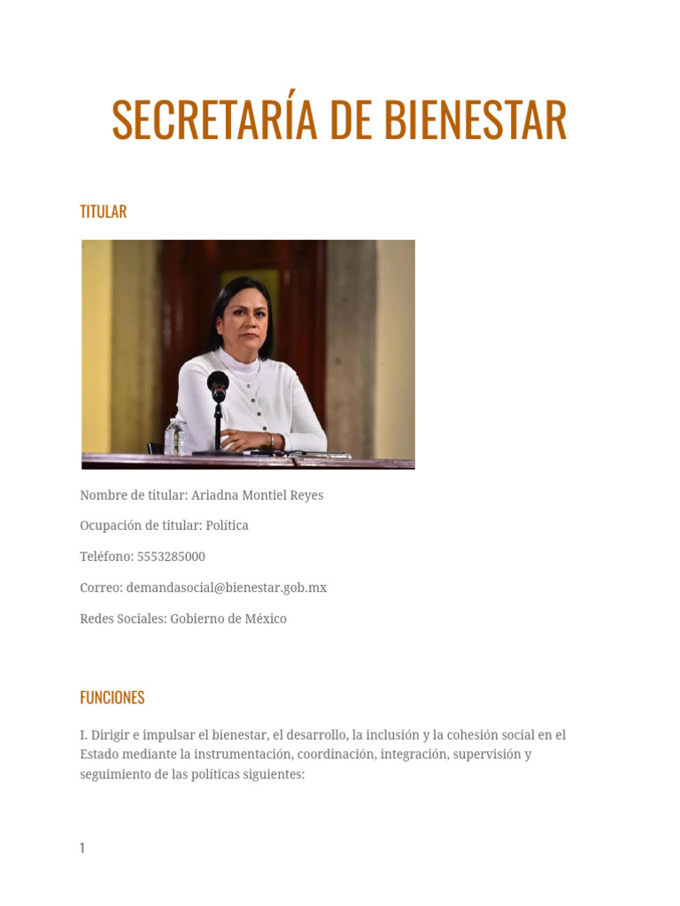 Secretaría de Bienestar Naomi | PDF | Trabajo Social