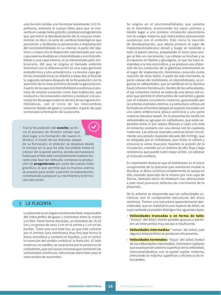 13 Mediplus Manual Mediplus de Ginecología y Obstetricia 1° Ed 2023 | PDF