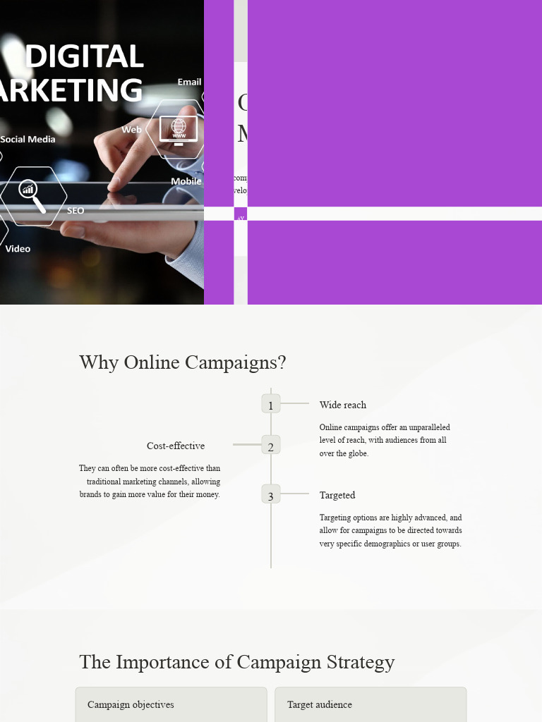 Online Campaign Management Guide | PDF | Target Audience | Brand