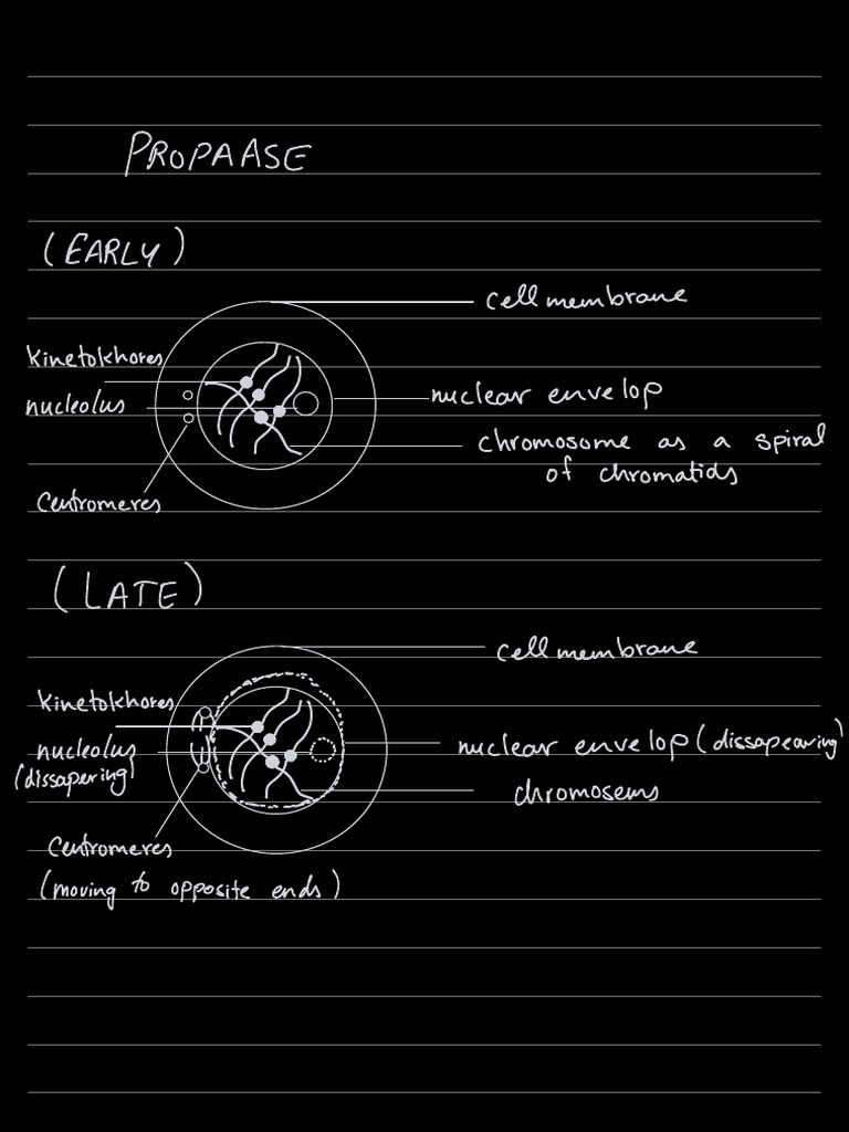 Unnamed Document | PDF