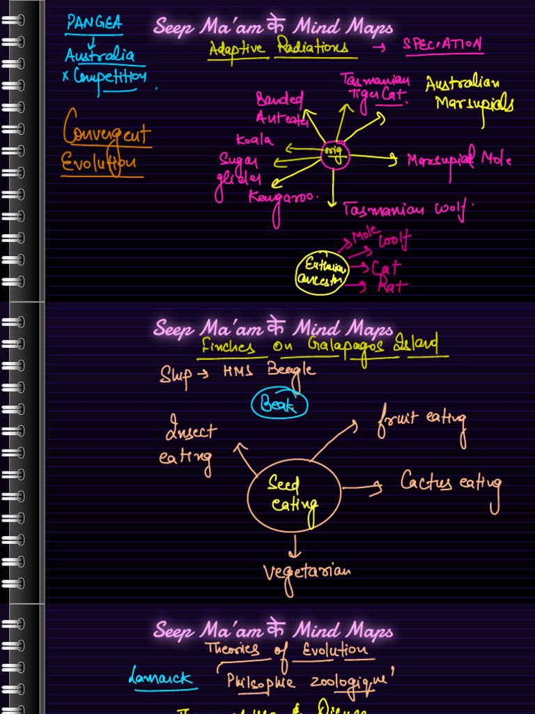 Mind_Maps-_evolution_2 | PDF | Evolution | Homo