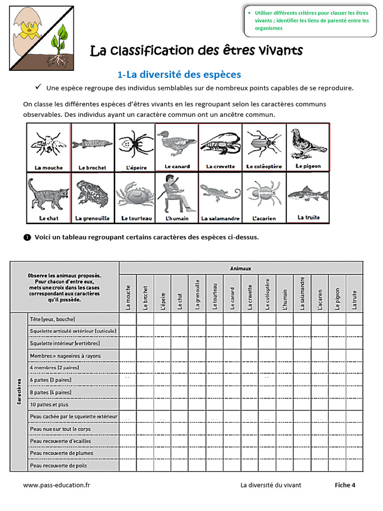 Classification Des Êtres Vivants 6ème Exercices | PDF | Espèces | Tigre