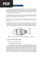 Ejemplos de Movimiento Ameboide | PDF | Músculo esquelético | Biología ...