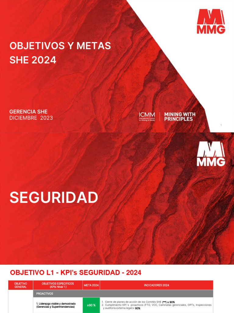 Objetivos y Metas She 2024 | PDF | Business
