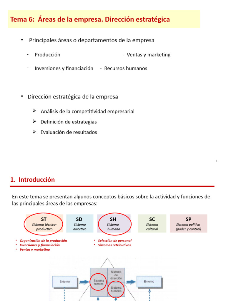 Tema 6 - Areas Empresa - Direccion Estrategica | PDF | Marketing | Business