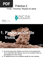Protocolo Tinción PAS | PDF