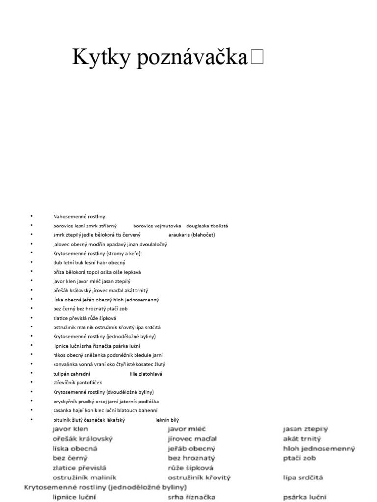 Kytky Poznavacka | PDF
