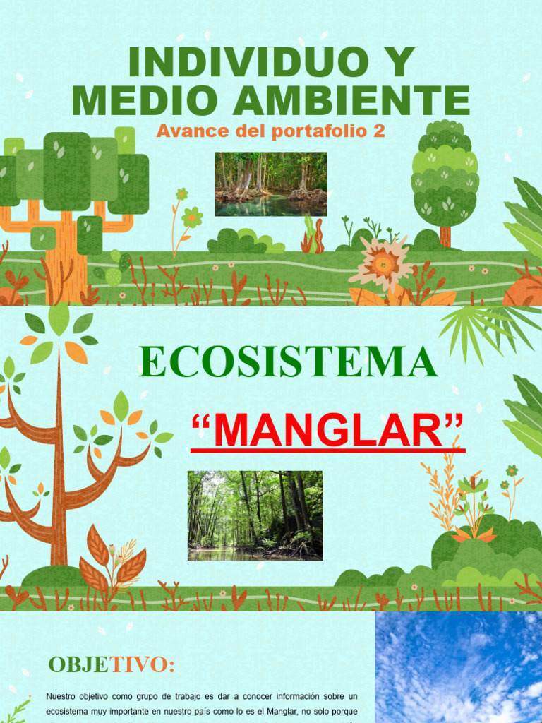 Avance 2 - Manglar | PDF | Mangle | Entorno natural