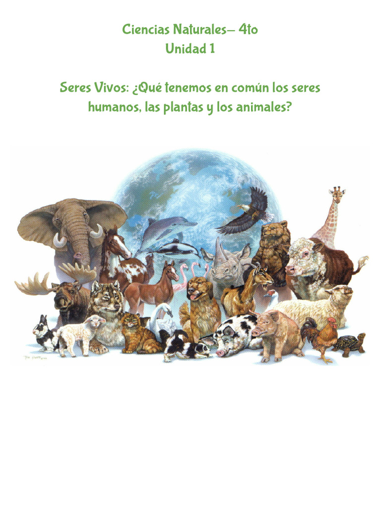 Unidad 1 - Seres Vivos 4to | PDF