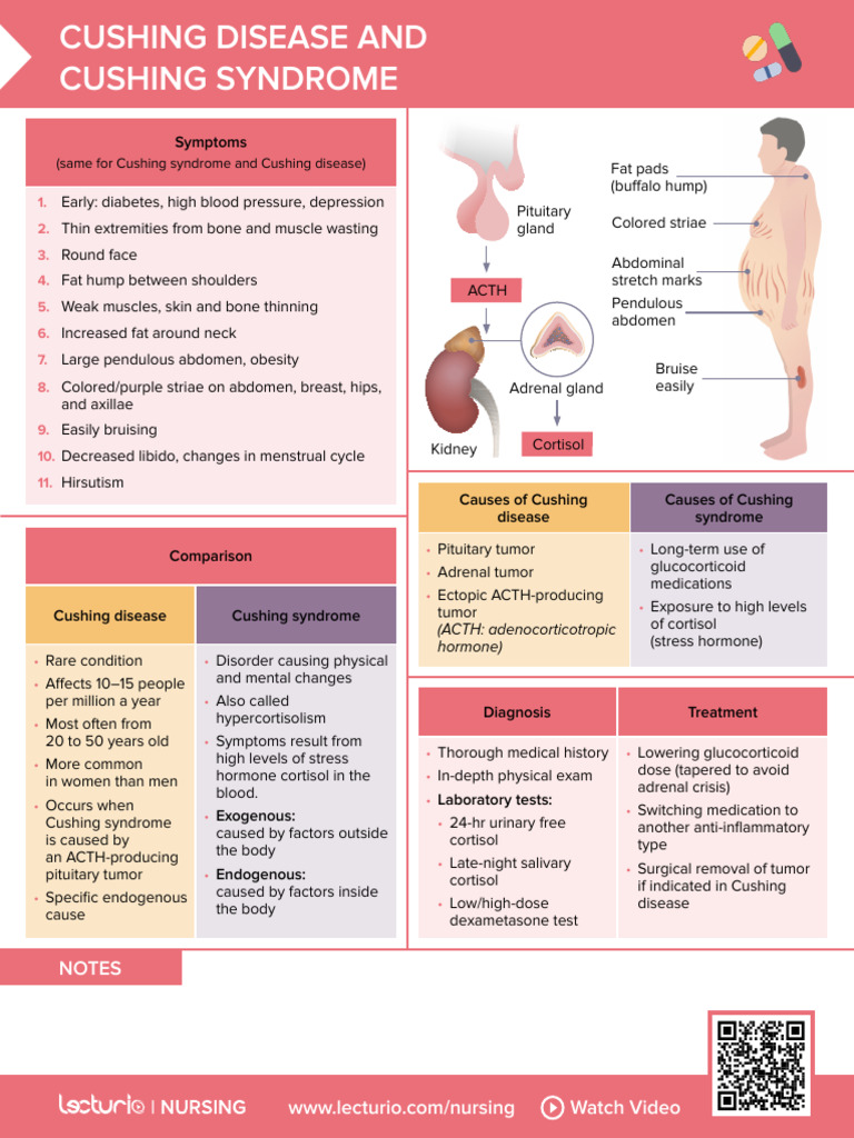Nursing_CS_Cushing-Disease-and-Cushing-Syndrome_02-1 | Download Free ...