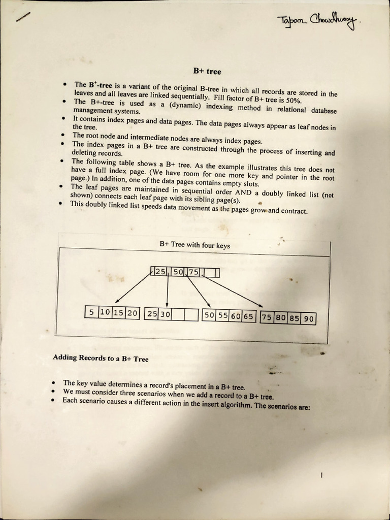 B Tree Pdf