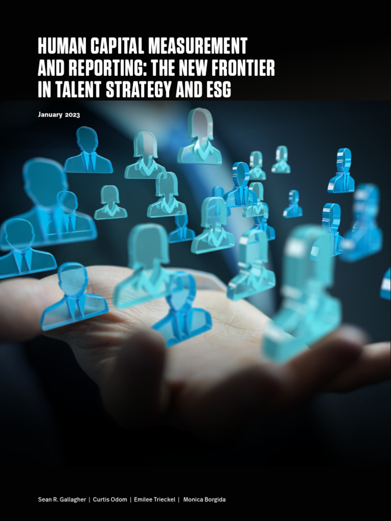 HRSGN-Human Capital Measurement and Reporting | Download Free PDF ...
