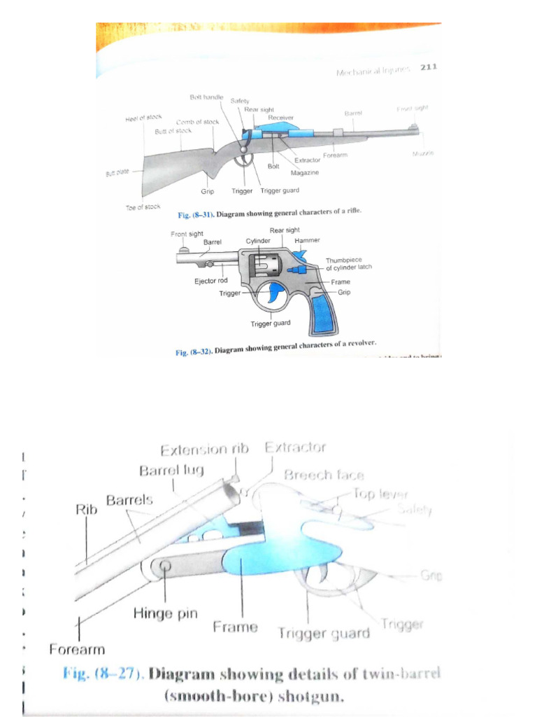Forensic Science Notes | PDF