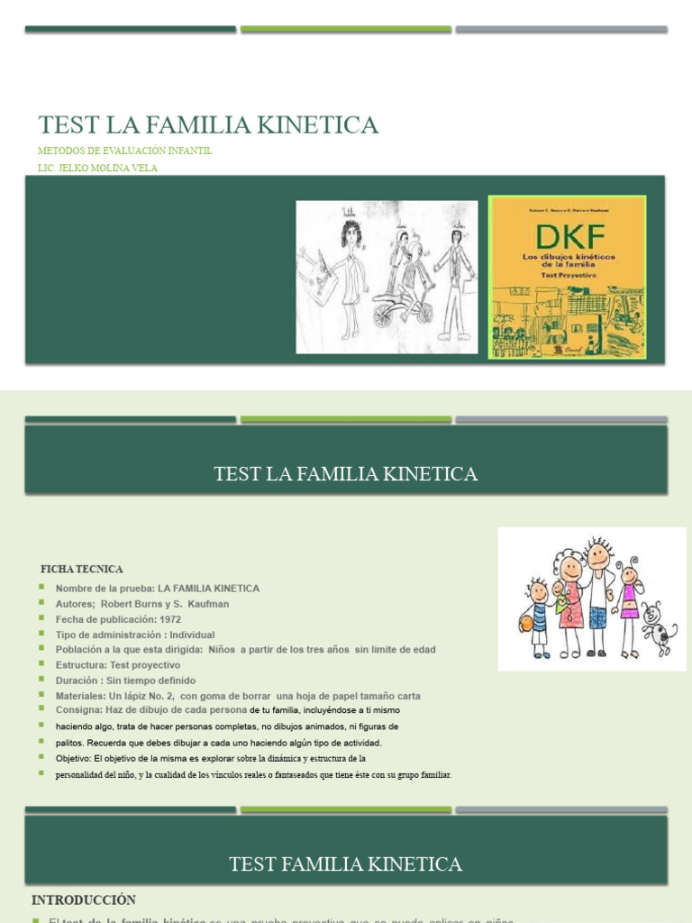 TEST DE LA FAMILIA KINETICA | PDF | Comportamiento | Adolescencia
