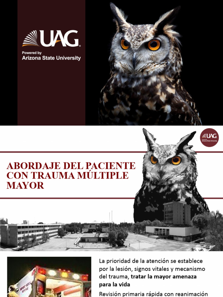 Poli Trauma | PDF | Especialidades Medicas | Causas de la muerte