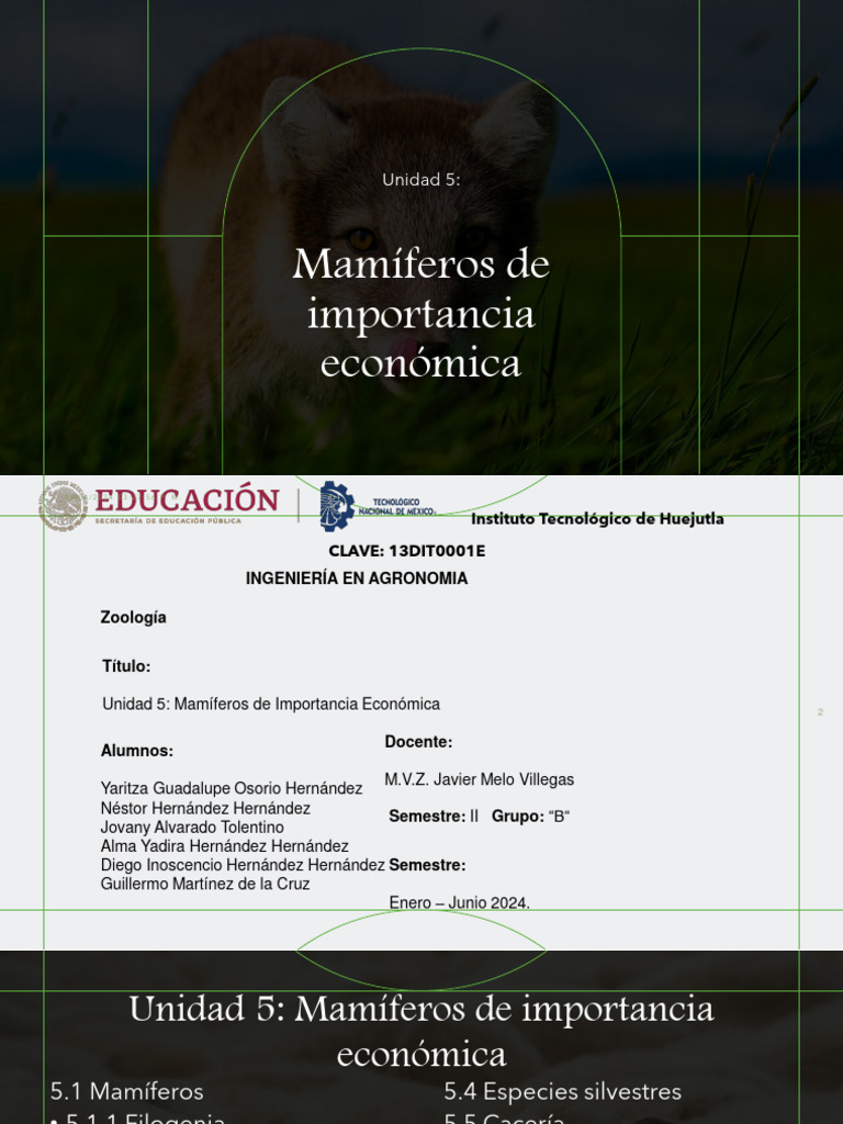 Mamíferos de Importancia Económica | PDF | Mamíferos | Depredación