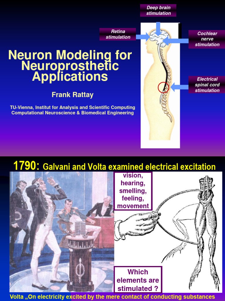 Neuroprostheses and basics in physiology 2022 | PDF | Neuron | Axon