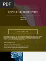 Clinical Pearls On Tendinopathy From DR Jill Cook - Physio Network ...