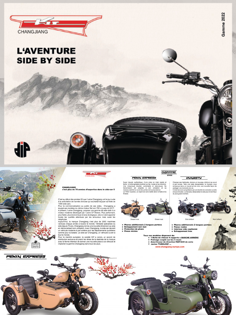 Cat Changjiang | PDF