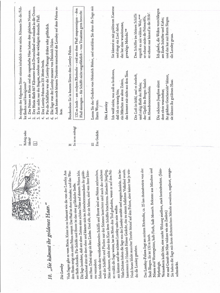 Lektorat Loreley | PDF