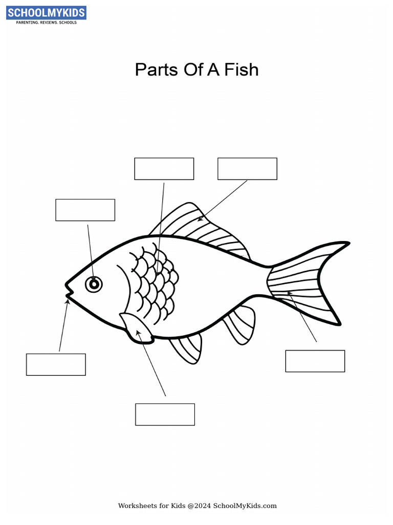 Label and Color The Parts of A Fish w7001241 | PDF