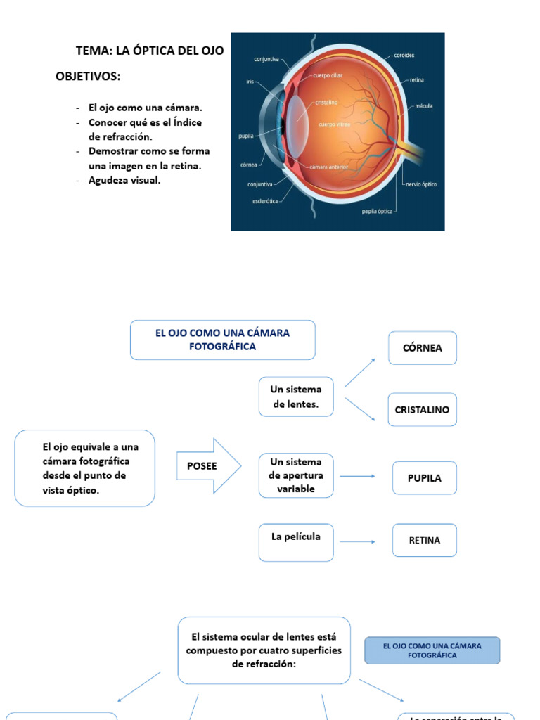 Óptica del Ojo: Formación de Imágenes y Agudeza Visual | PDF | Ojo ...