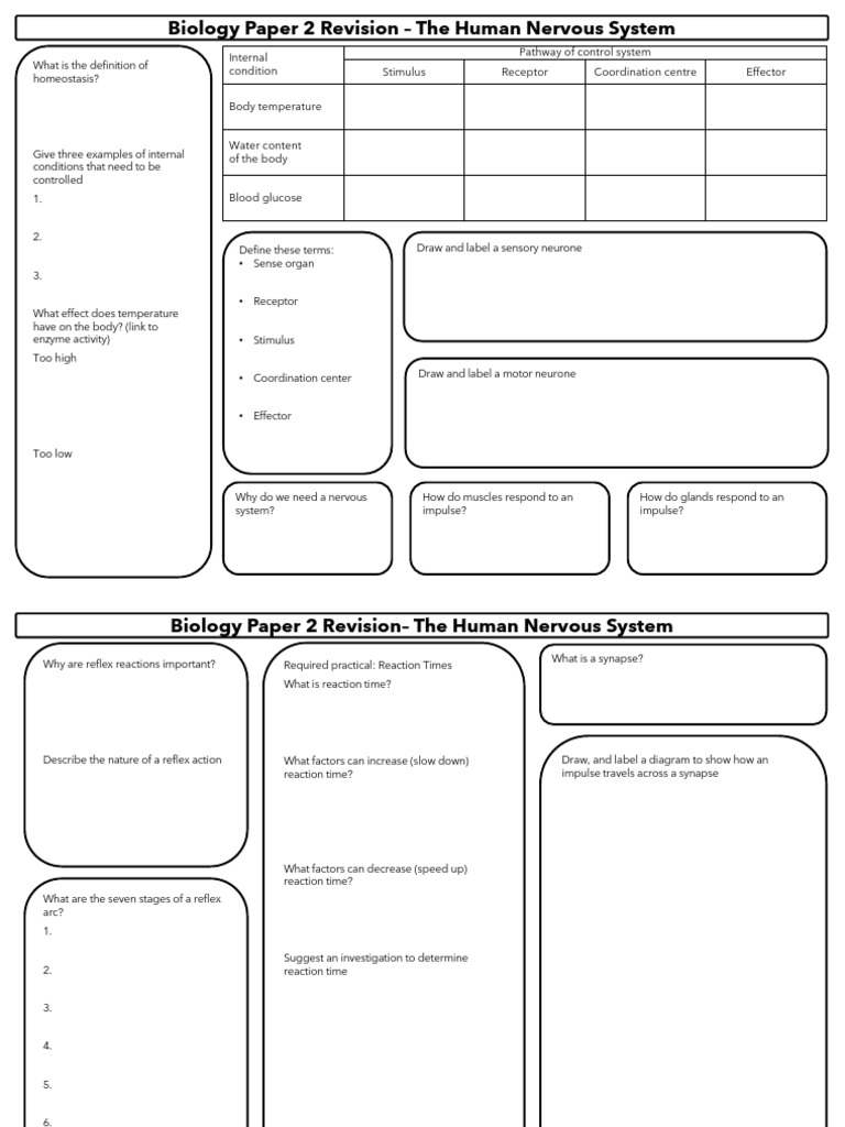 B10-17-Paper-2-Revision-Sheets | PDF | Zygosity | Dominance (Genetics)