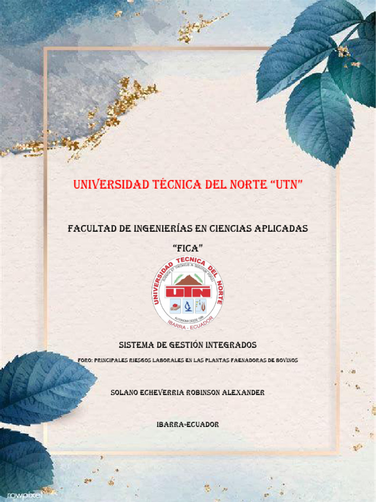 Sistemas de Gestion Integrados FORO SOLANO ROBINSON | PDF ... Sistemas de Gestion Integrados FORO SOLANO ROBINSON | PDF ...