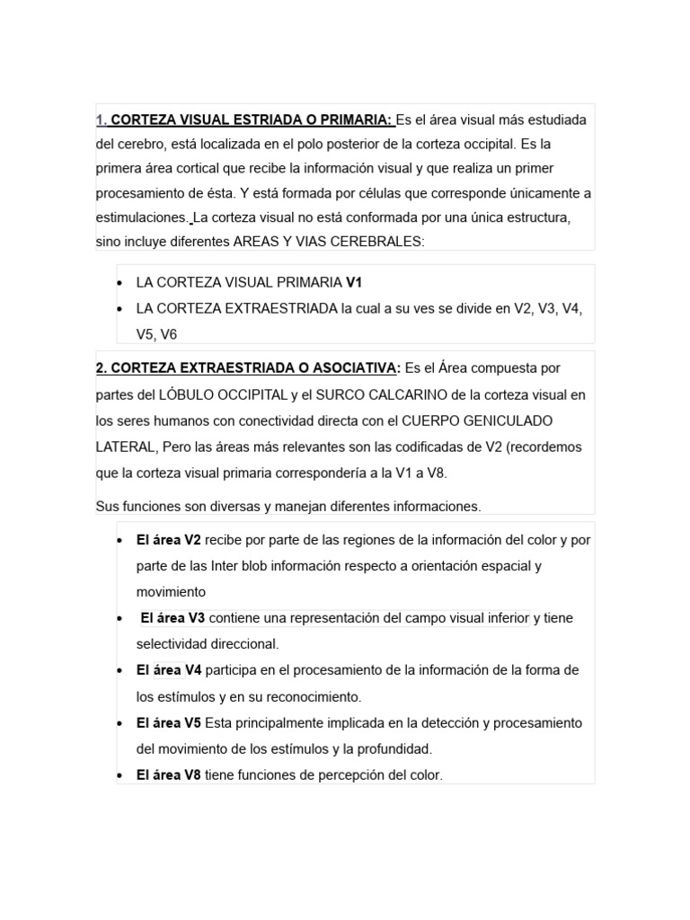 Funciones de la Corteza Visual y Ceguera | PDF | Corteza visual | Lóbulo occipital