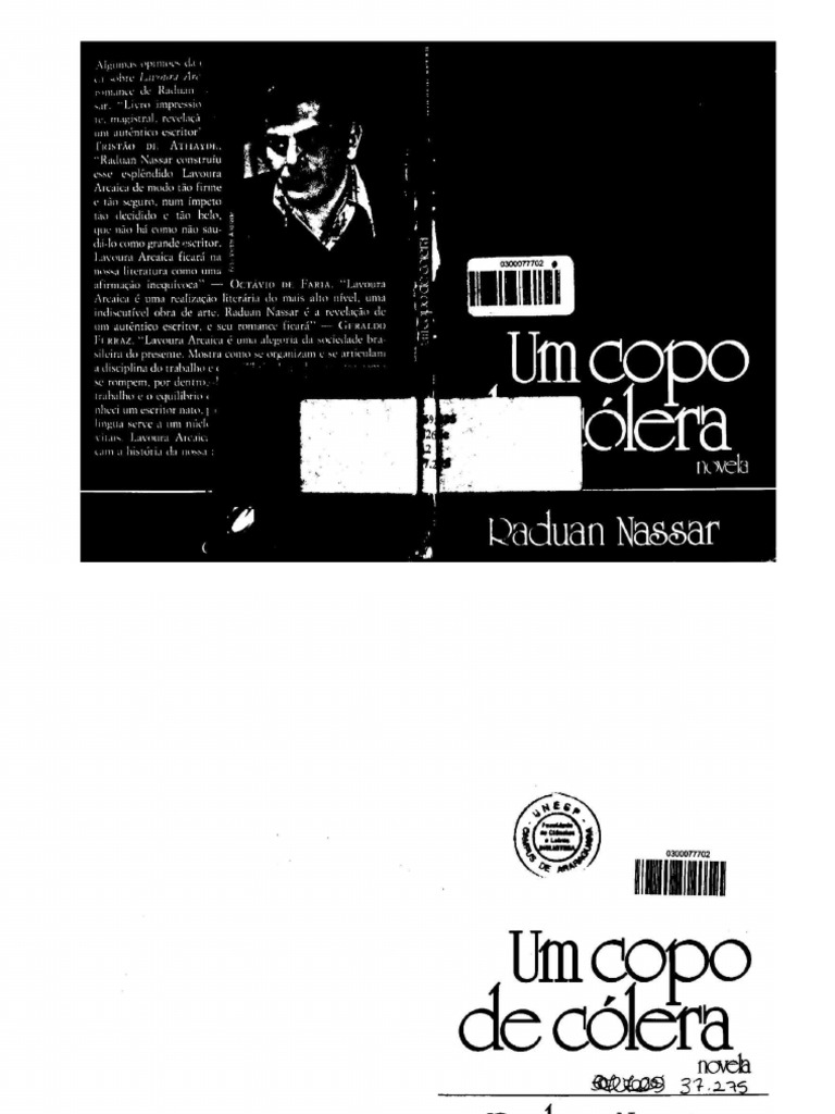 Um Copo de Colera - Raduan Nassar | PDF