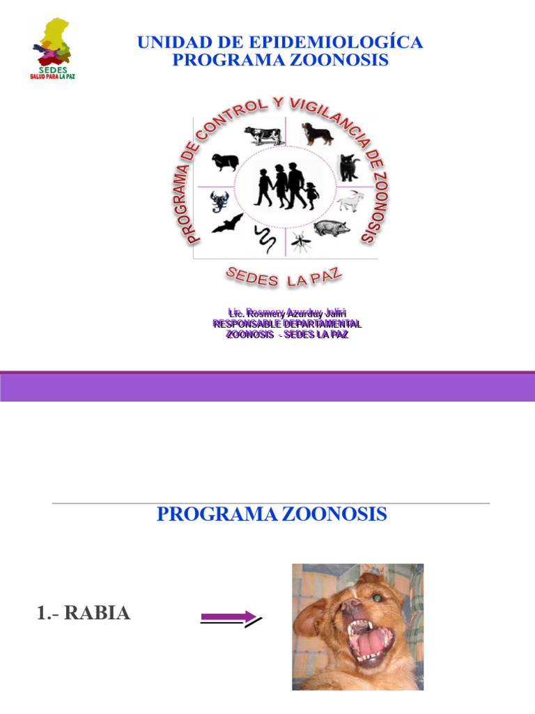 Norma Técnica Del Programa de Zoonosis Bolivia Presentación | PDF | Rabia | Medicina