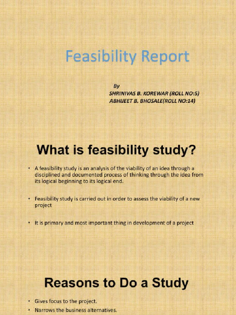 Feasibility Report | PDF