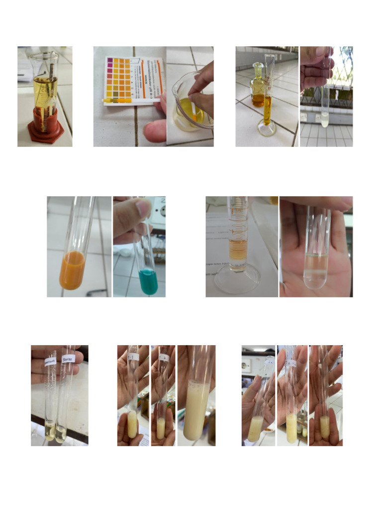 Dokumentasi Praktikum 1 Dan 2 Biokimia | PDF