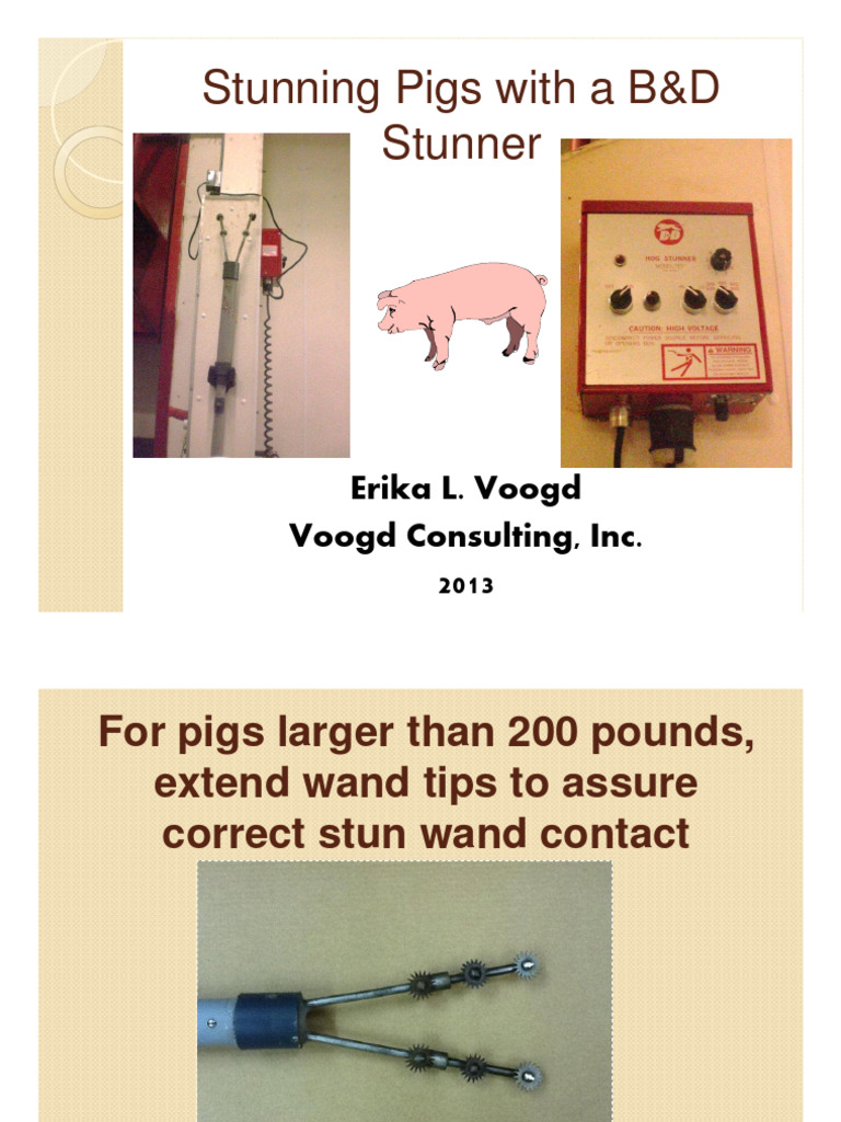 2013 Stunning Pigs With A BD Stunner Voogd Consulting | PDF | Insulator ...