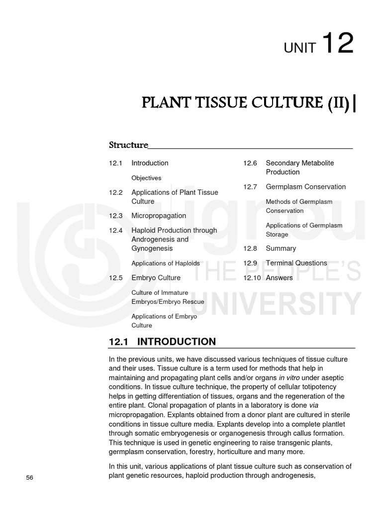 Unit 12 | PDF | Seed | Ploidy