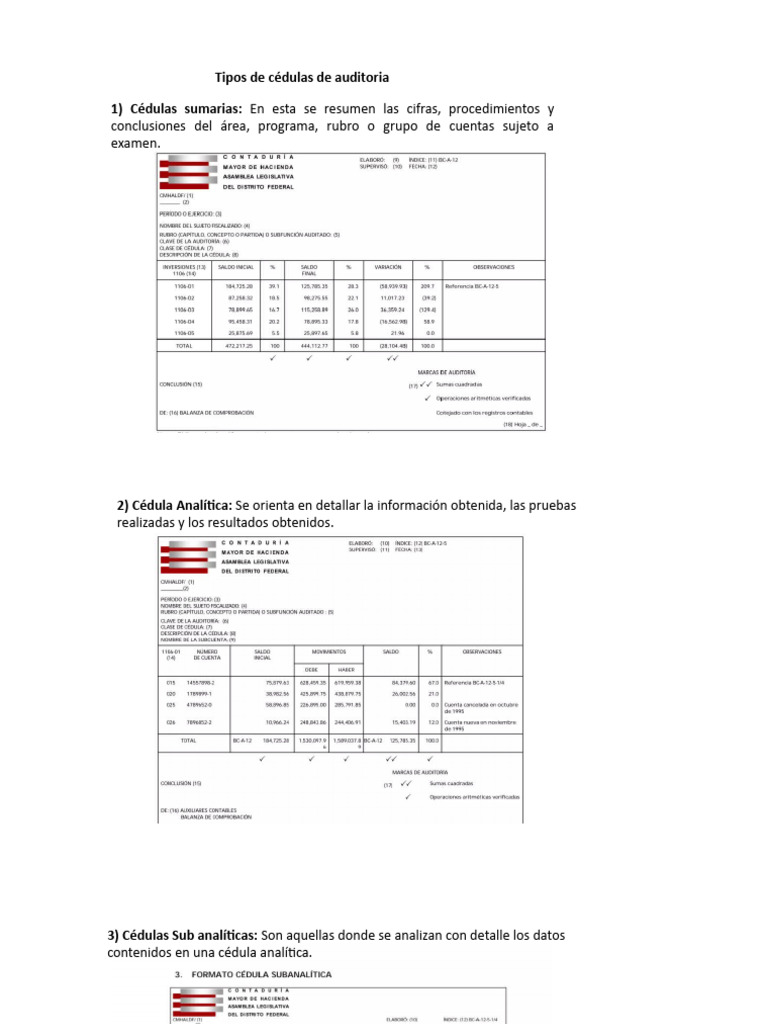 Diapositivas Del Tipos de Cedulas de Auditoria | PDF